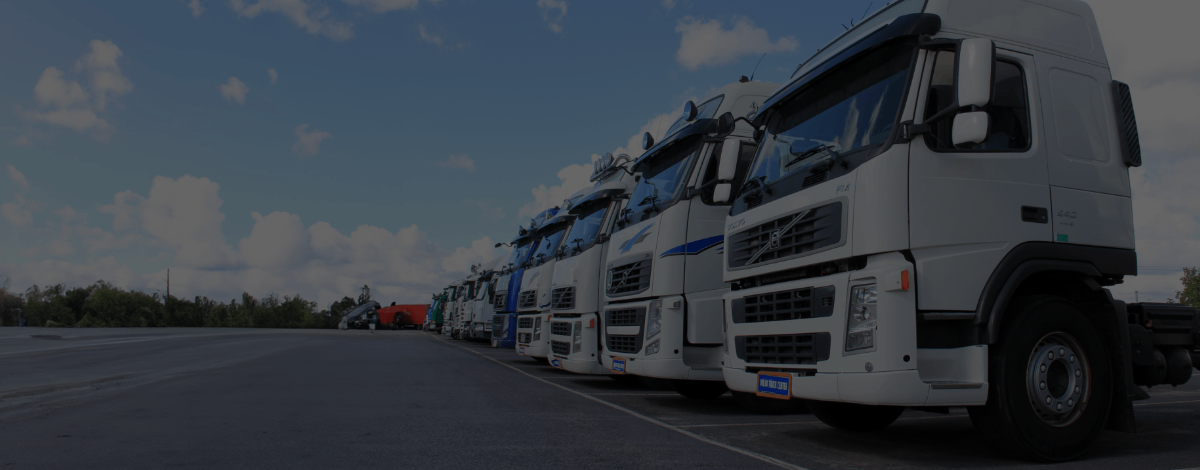 Solltra LLC – Fastest and Secured Logistics Solution and services